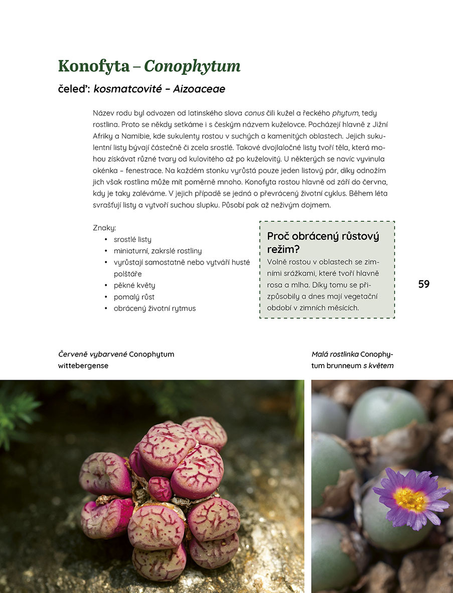 Svět sukulentů a kaktusů [Kniha] - Pavel Samek | Palmknihy.cz