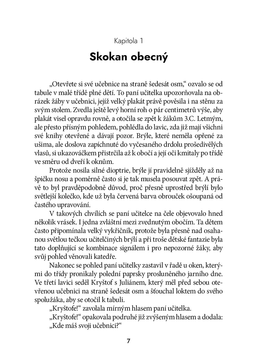 Bublina a ježek Brožek [Kniha] - Jan Bambas | Palmknihy.cz